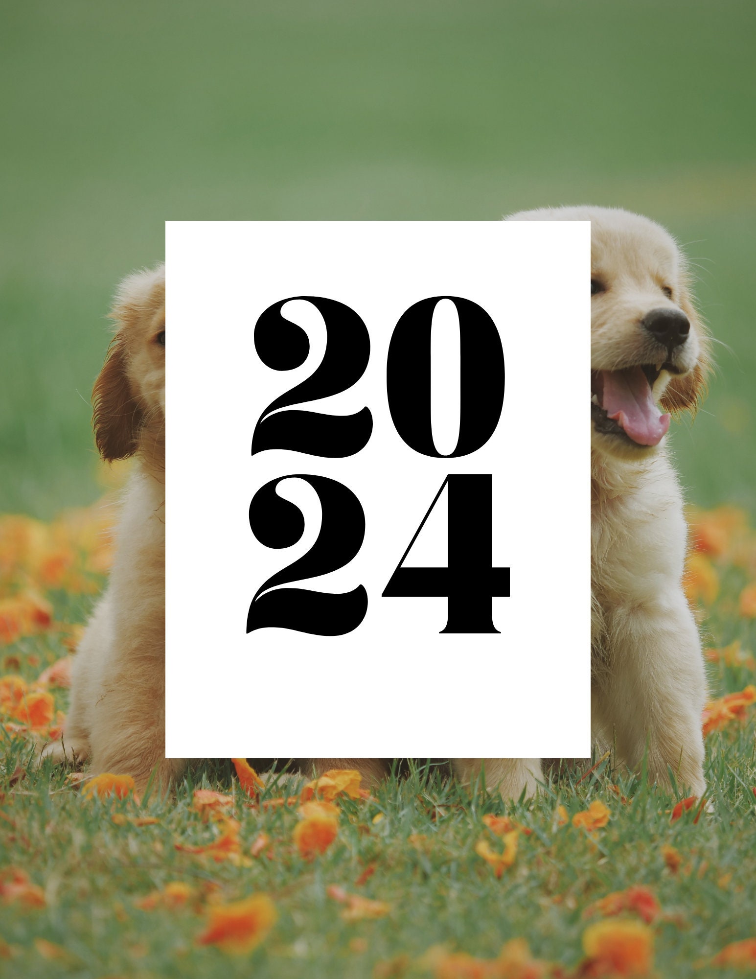 2024 Fully Editable Calendar Canva Template Frame Instant Download - Etsy