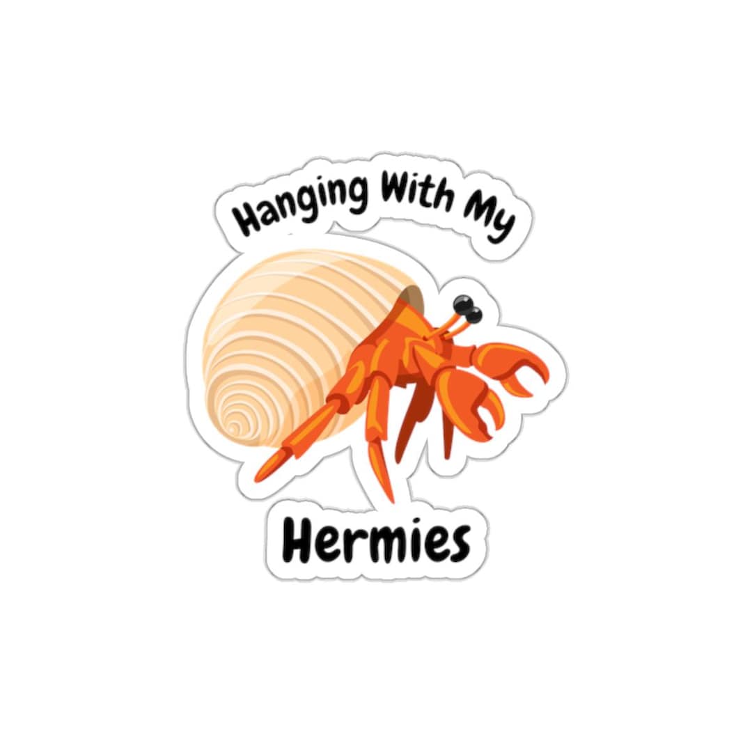 Hanging With My Hermies Hermit Crab Kiss-cut Stickers - Etsy