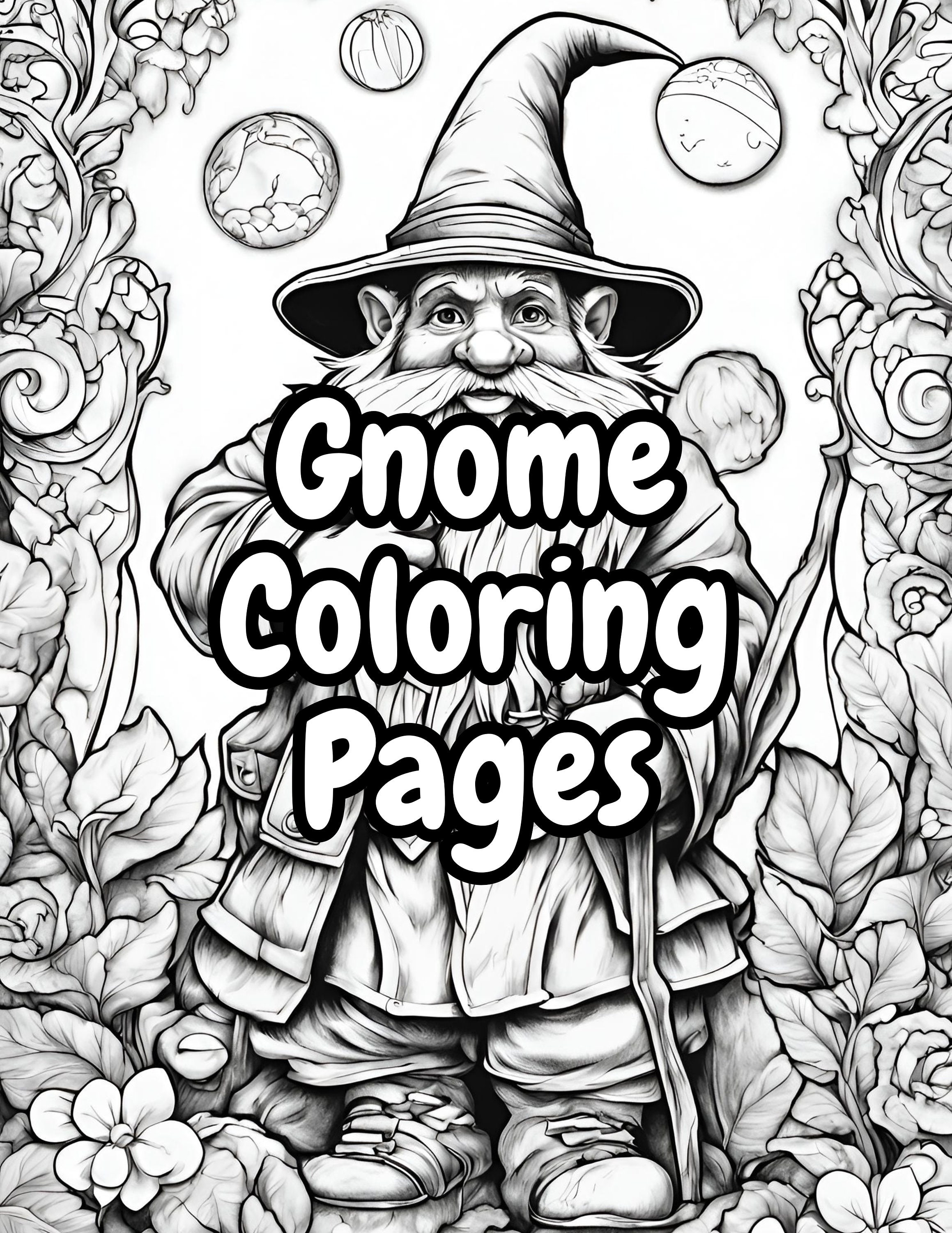 10 Gnome Coloring Book Pages Instant Digital Download Printable - Etsy