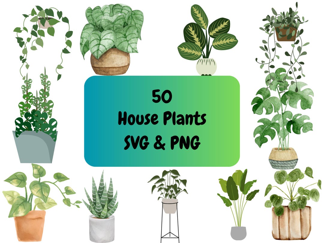 50 House Plants PNG SVG JPG Bundle Graphic Digital Download Image ...