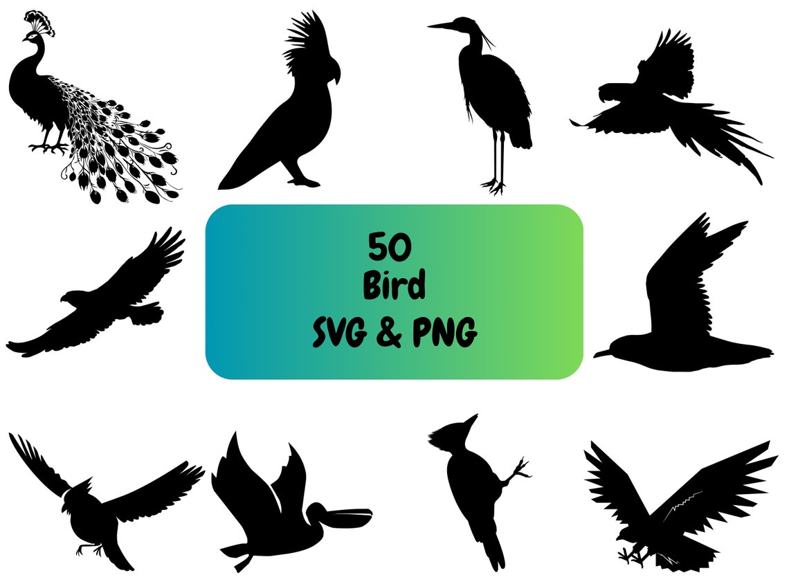 50 Bird Silhouette PNG & SVG Bundle Graphic Digital Download Image ...