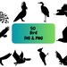 50 Bird Silhouette PNG & SVG Bundle Graphic Digital Download Image ...
