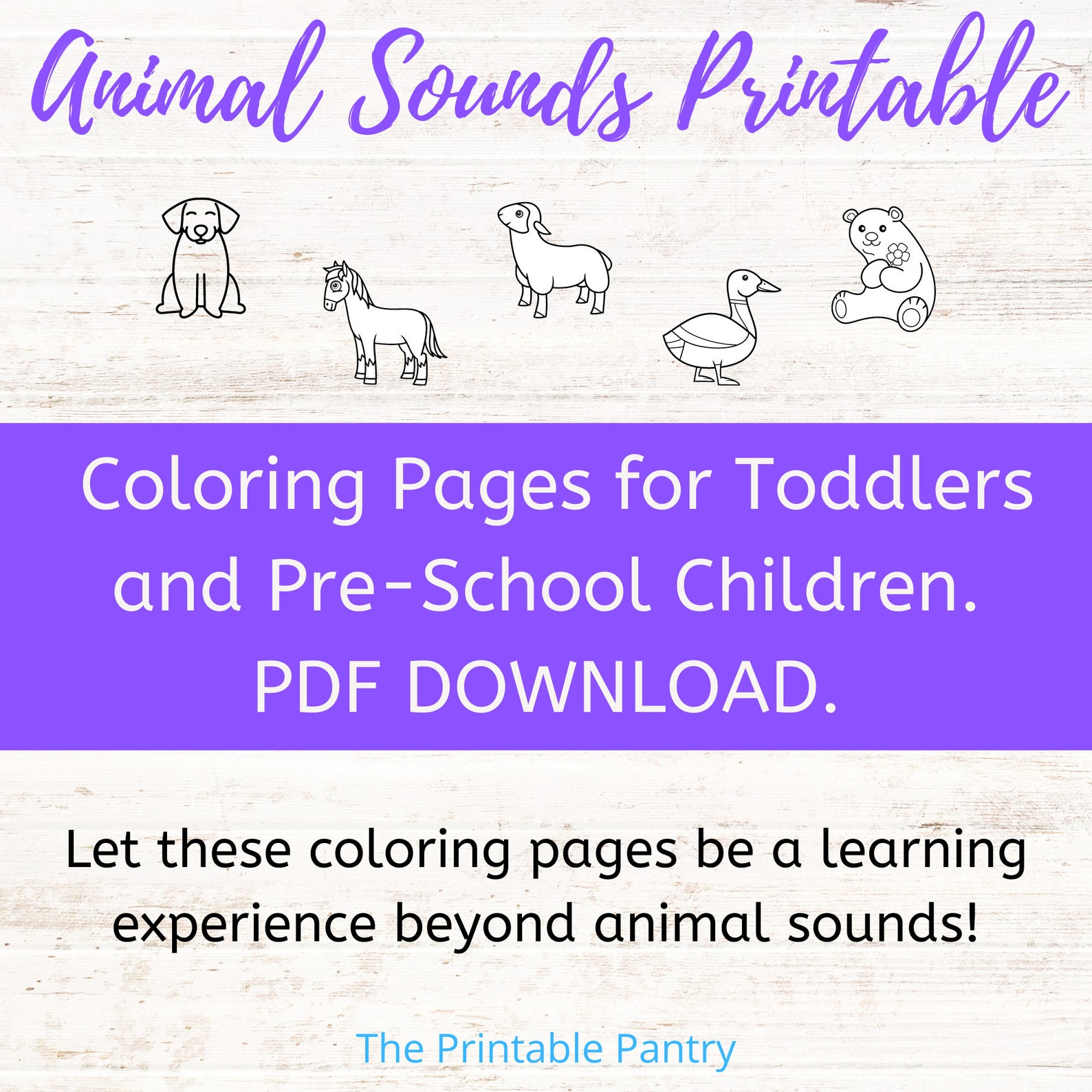 Animal Sounds Printable Coloring Pages for Toddlers and - Etsy