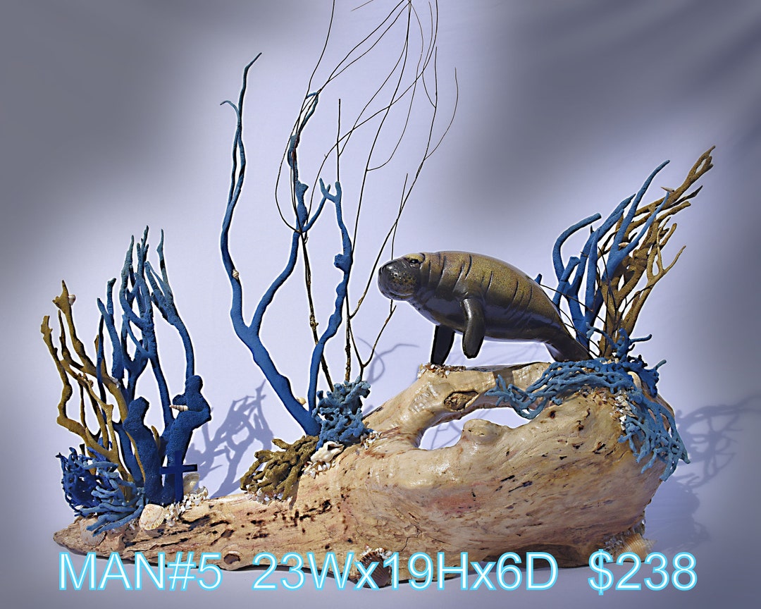 Manatee & Coral Beach Decor on Driftwood - Etsy