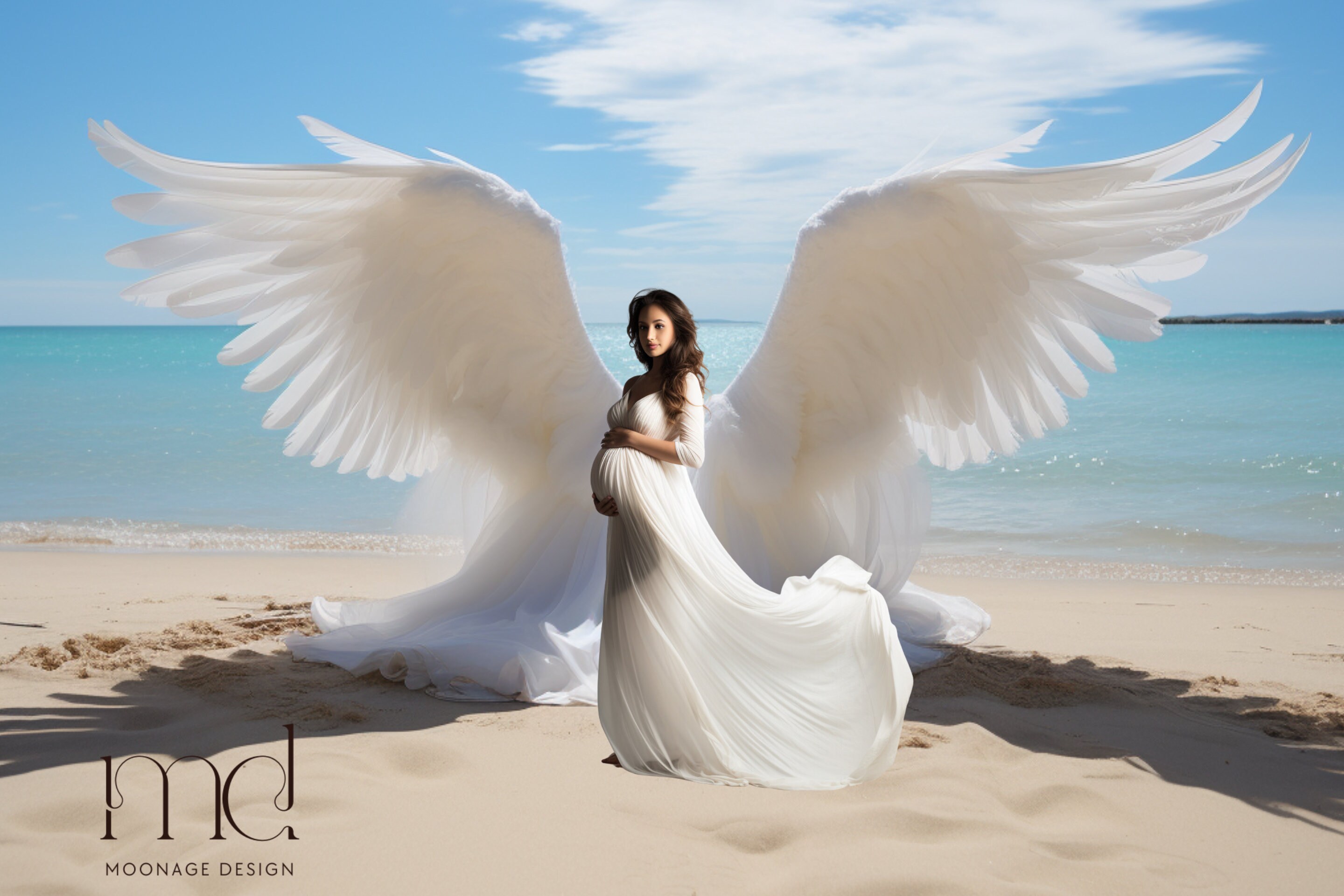 8 Ultra Hi-res Digital Backdrops, Maternity Backdrop Overlays, Beach ...