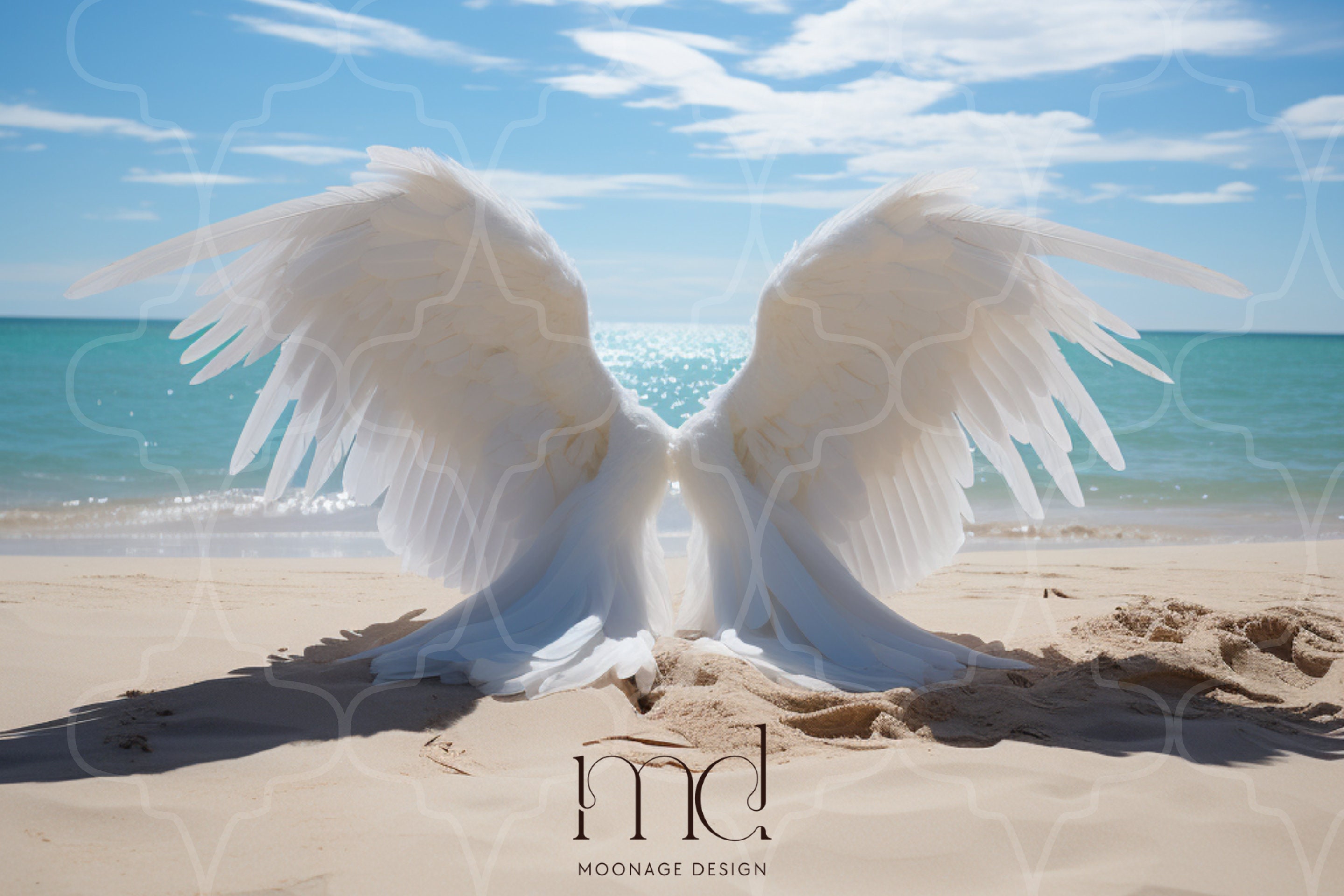 8 Ultra Hi-res Digital Backdrops, Maternity Backdrop Overlays, Beach ...