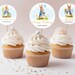 Peter Rabbit Happy Birthday Cupcake Toppers, Peter Rabbit Party 1st ...