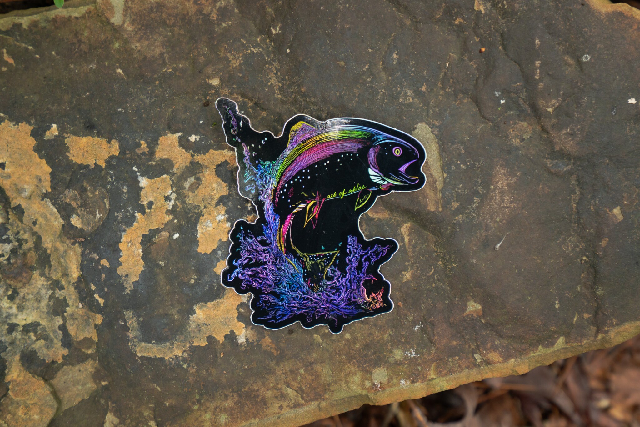 The Rainbow Fish Sticker, Holographic Fish Sticker, Rainbow Trout Art ...