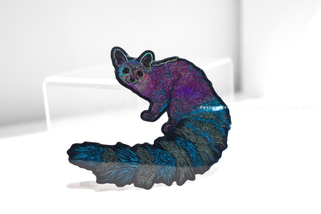 Ringtail Cat Sticker, Holographic Animal Sticker, Arizona Wildlife ...