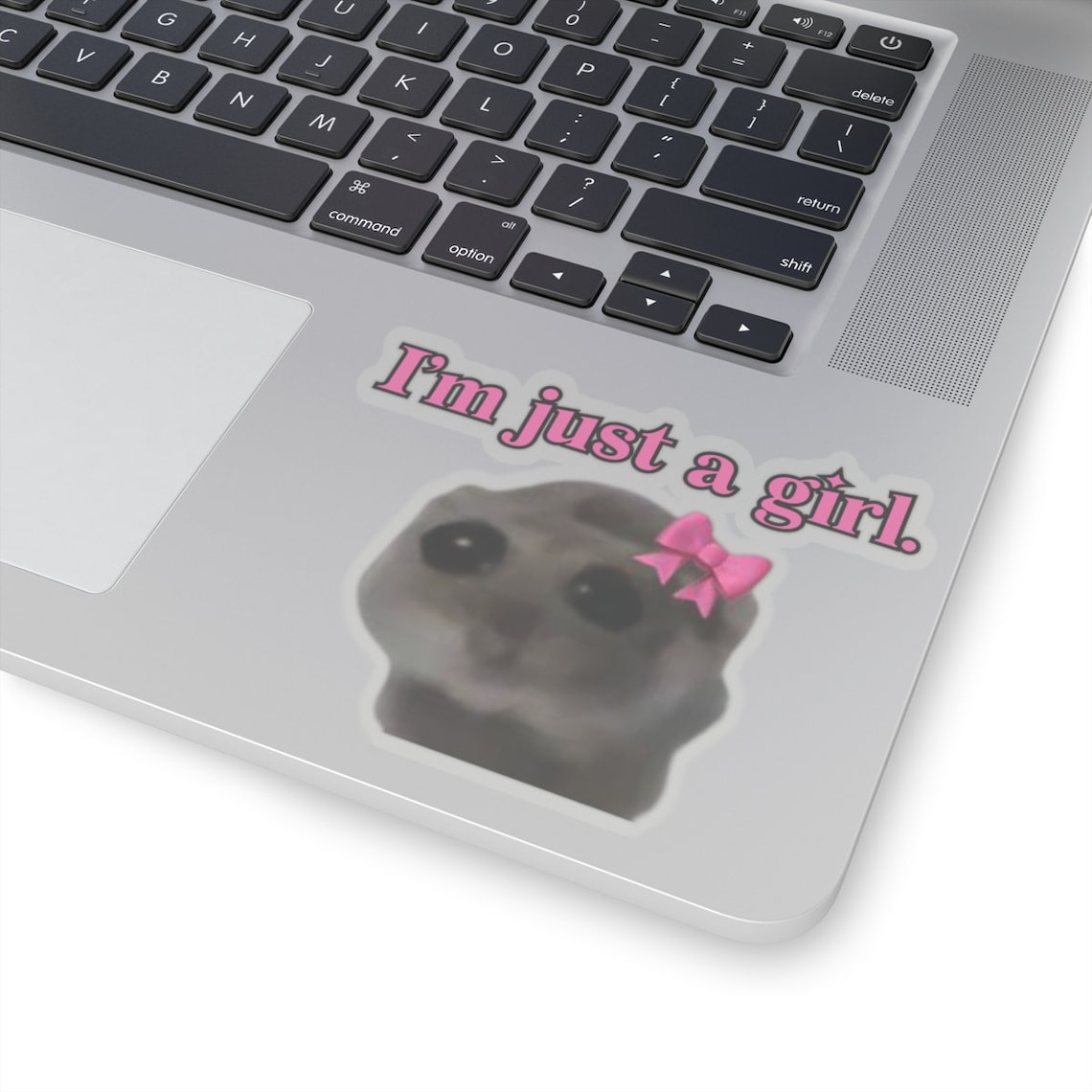 I'm Just A Girl - Sticker - Hilarious Tiktok Trend - Sad Hampster Meme ...