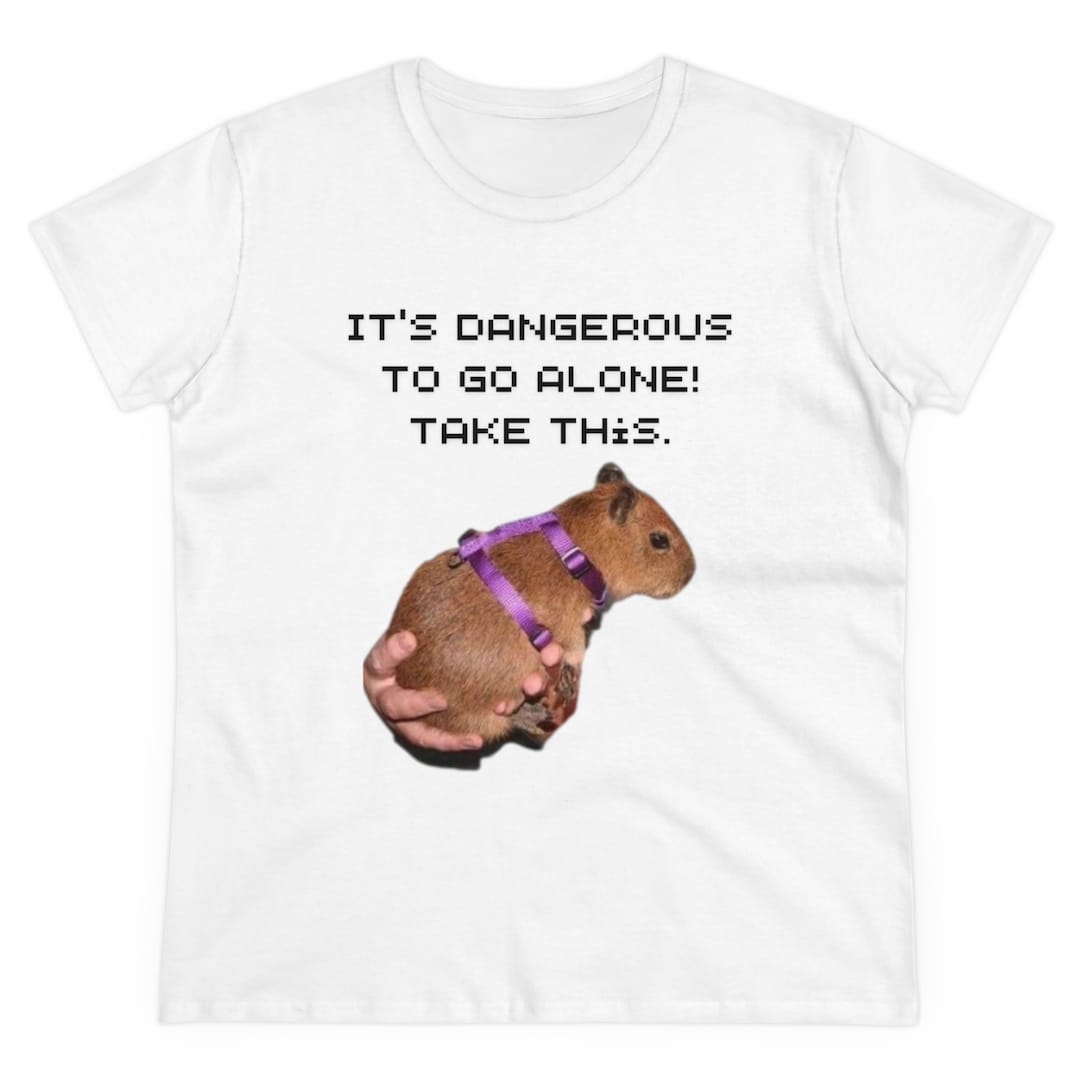 1 Capybara Obtained, "it's Dangerous to Go Alone! Take This." Video ...