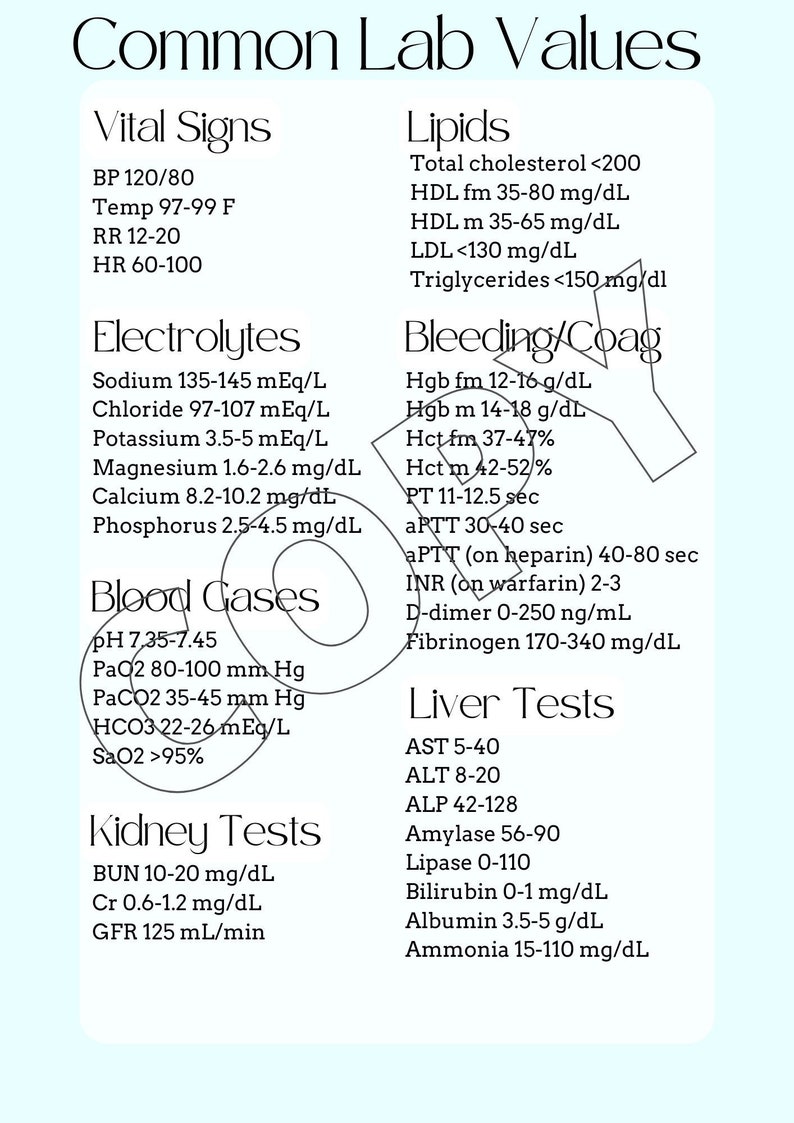 Common Lab Values - Etsy
