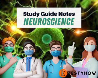 Neuroscience Guide - Etsy