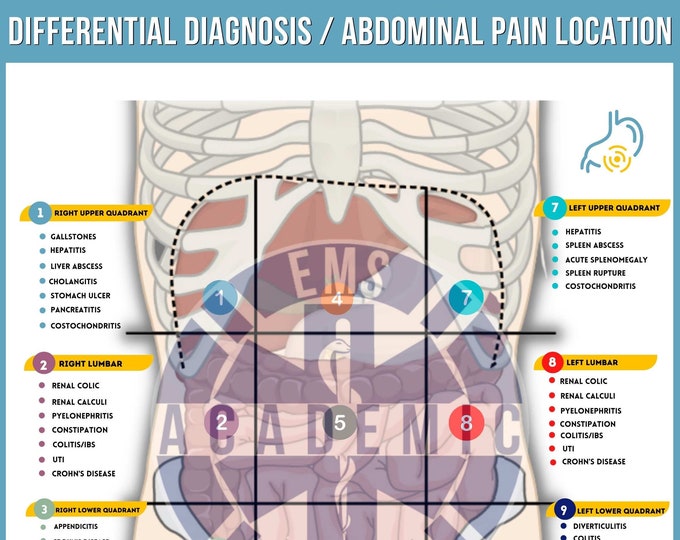 EMS Abdominal Pain Guide - Etsy
