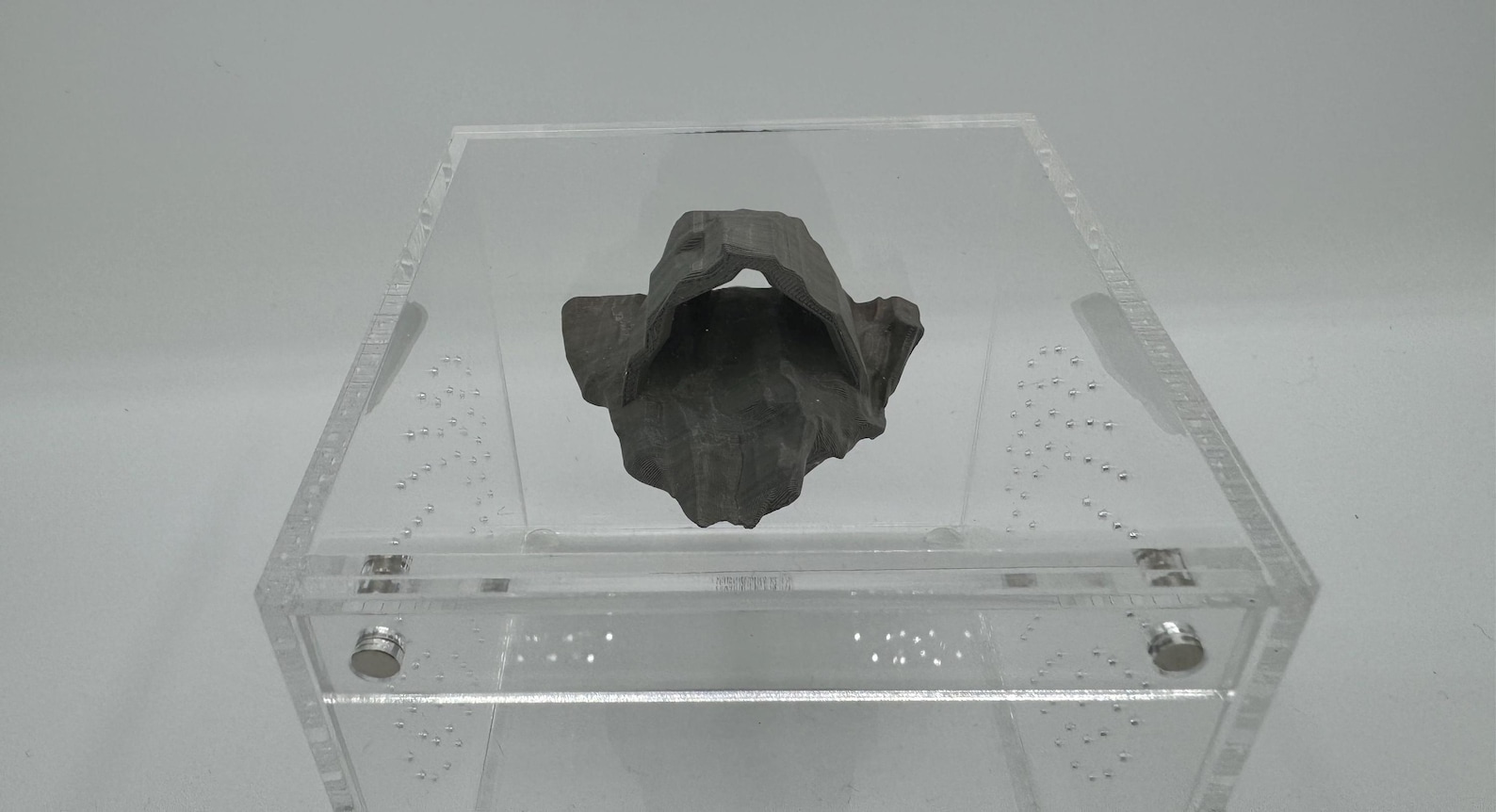 Magnetic Cave Jumping Spider Hide/ Ledge *built in Magnet* - Etsy