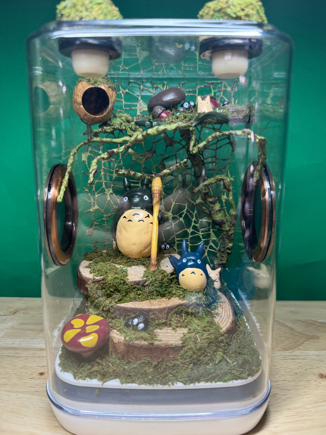 Decorated Invertebrate Enclosure 6x6x9 - Etsy