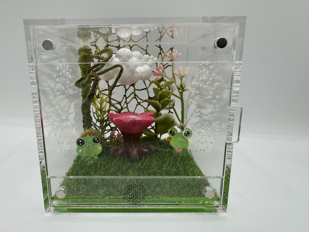 Decorated froggy-friends Jumping Spider Enclosure 4x4x4 - Etsy
