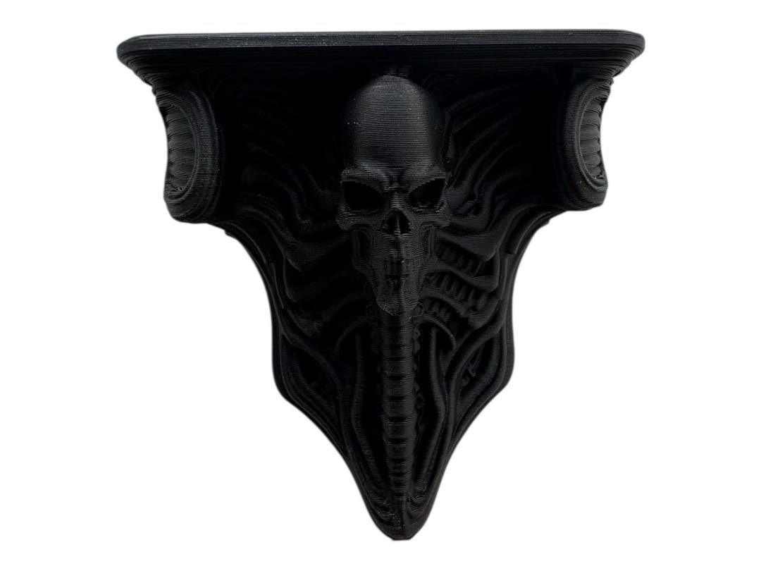 Gothic Rounded Skull Corbel Shelf for Jumping Spiders - Etsy