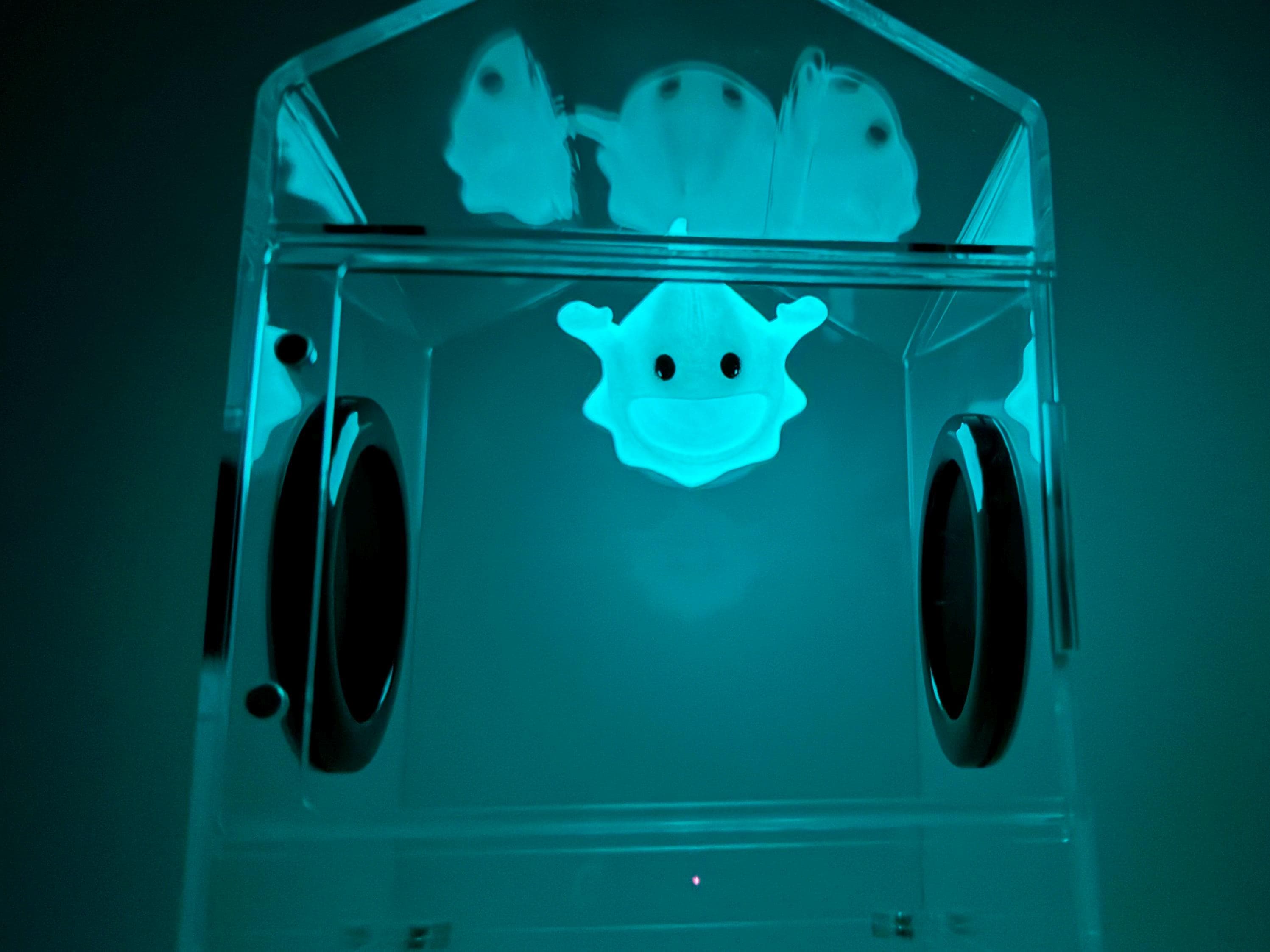 Magnetic Glow Ghost Jumping Spider Hide - Etsy