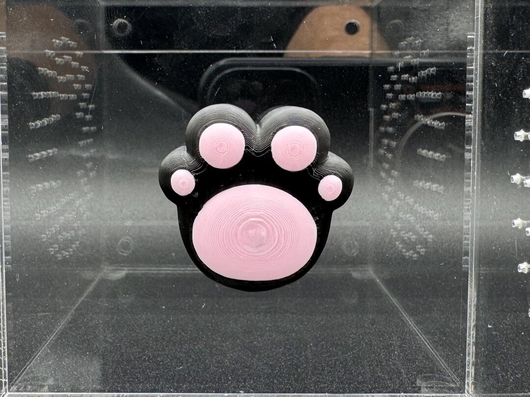 Cat Paw Ledge for Jumping Spiders and Invertebrates *built in Magnet ...