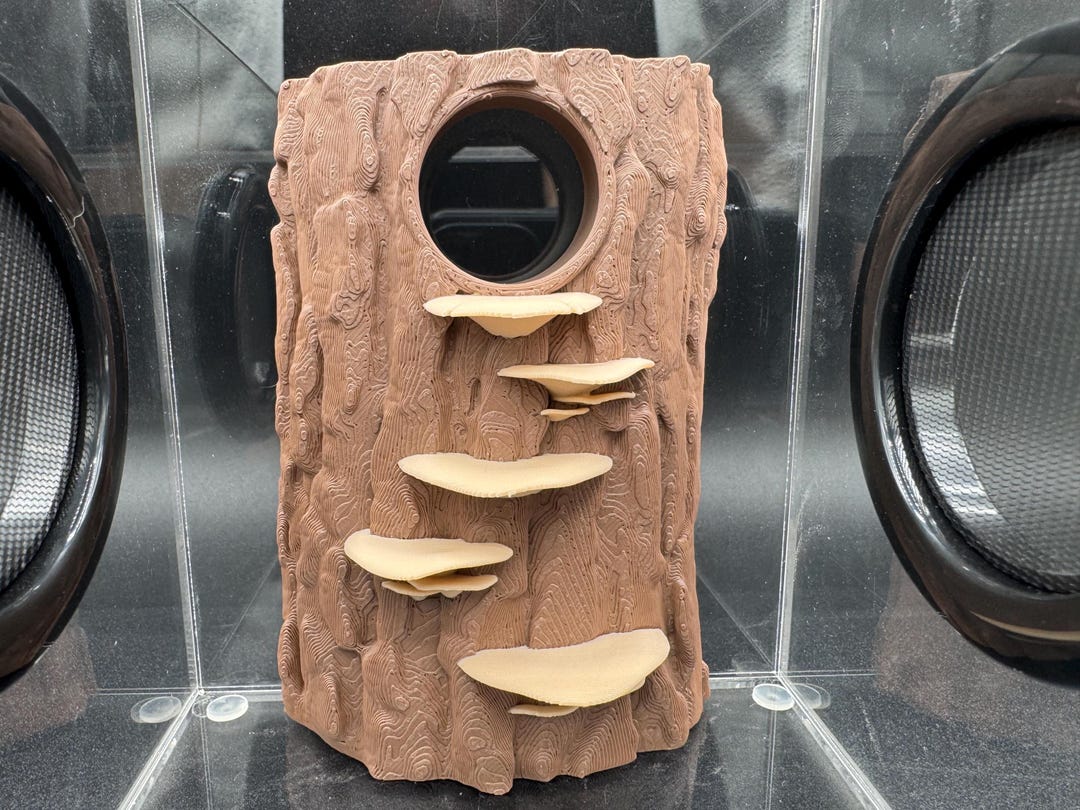 3D Universal Treehouse Insert for Jumping Spiders and Invertebrate ...
