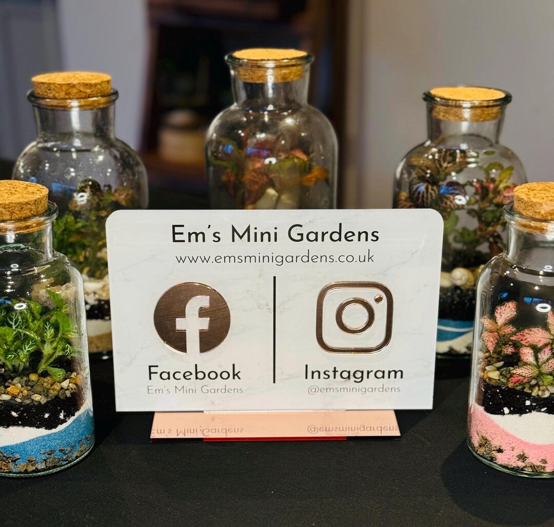 20 Cm DIY Enclosed Terrarium Kit | Everything You Need | Gift for All ...