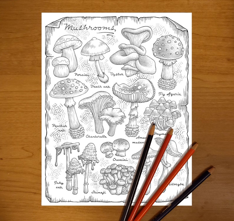Printable Coloring Page for Adults and Kids: Mushroom Manuscript - Etsy