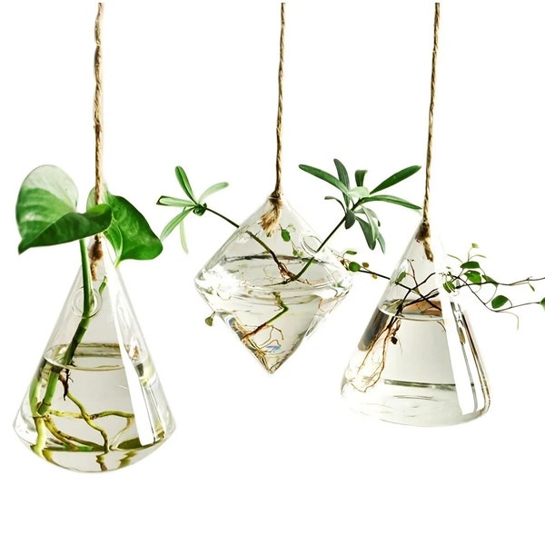 Buy Hanging Terrarium - Etsy