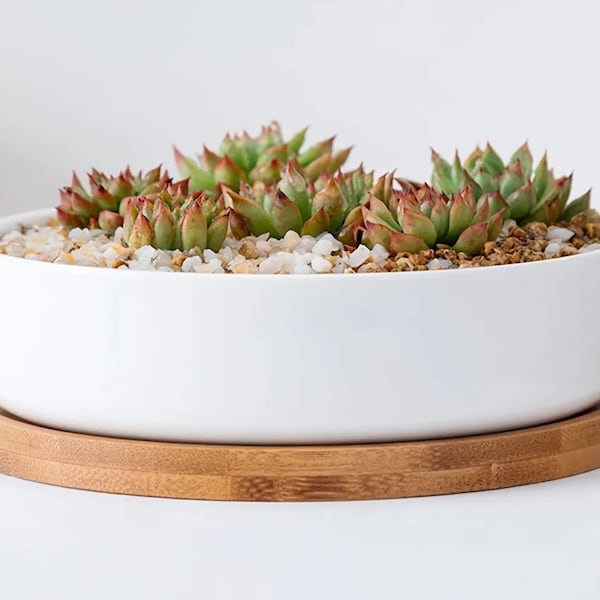 White Shallow Planter - Etsy