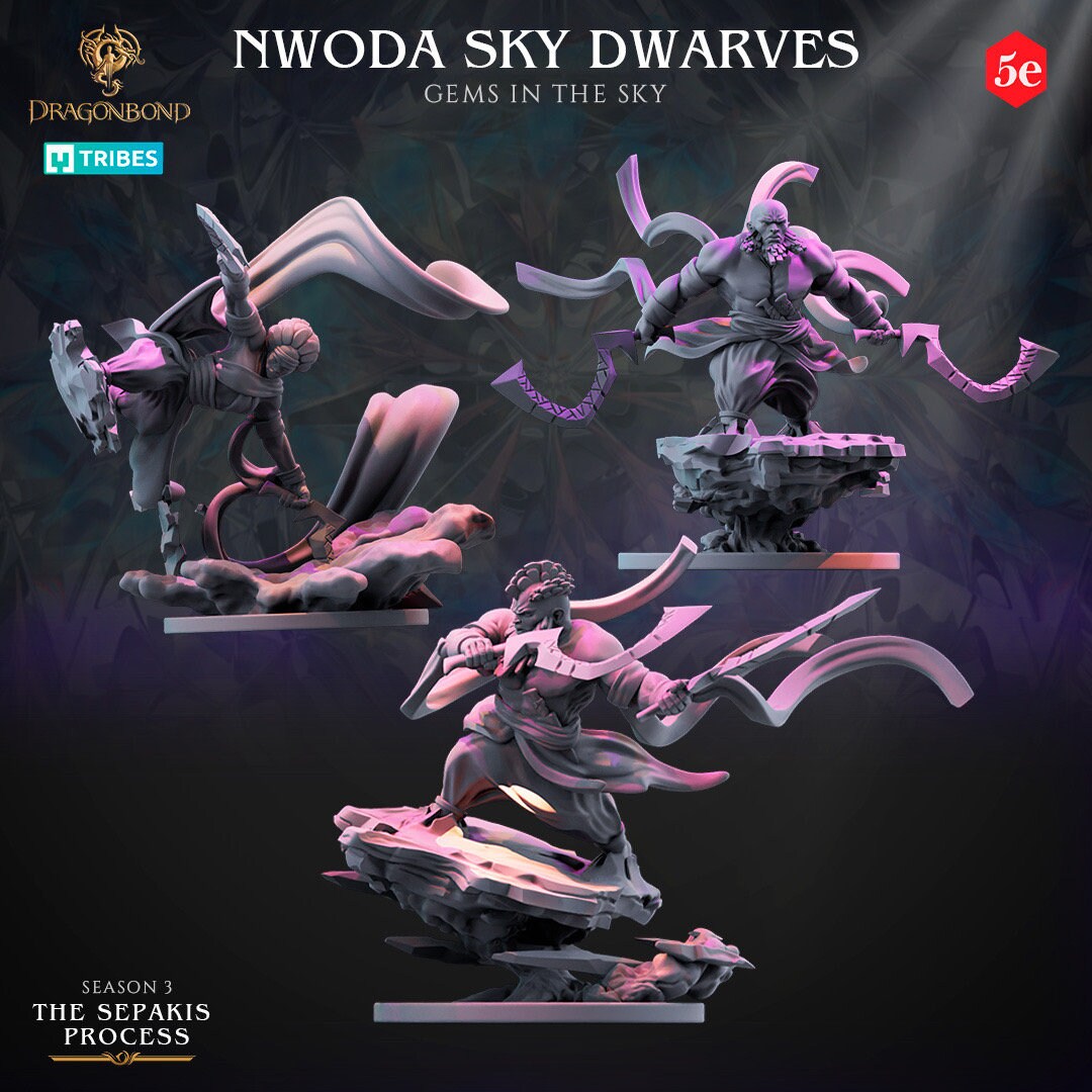 Nwoda Sky Dwarfs 3D Fantasy Miniature Printed in 8k Dnd Draco Studios ...