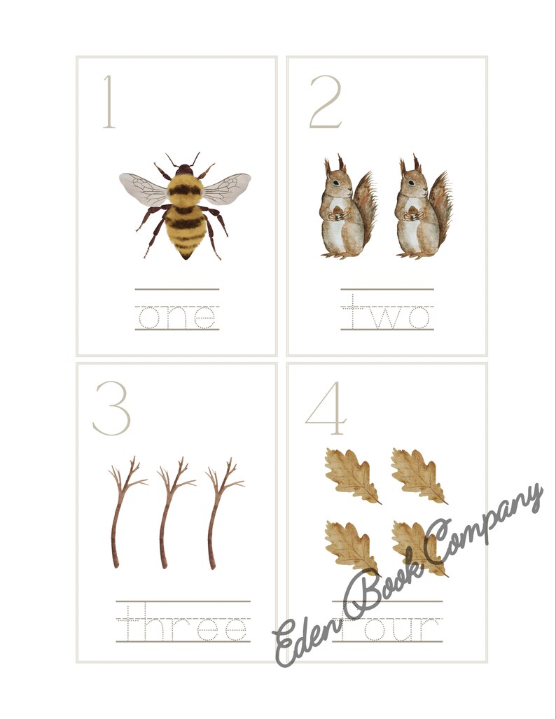 Nature Number Flashcards | Preschool Printable - Etsy