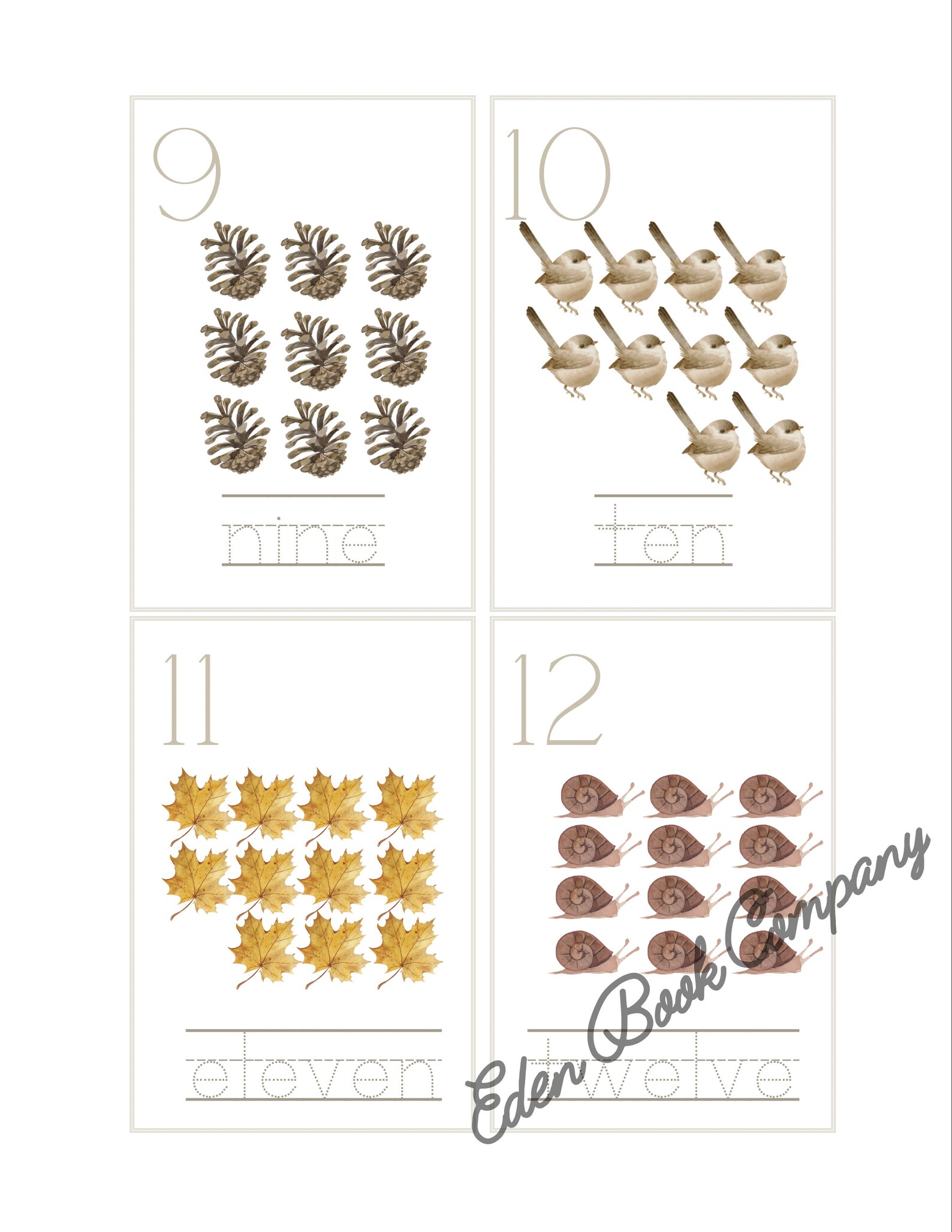 Nature Number Flashcards | Preschool Printable - Etsy