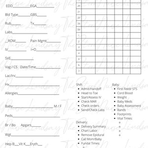 Labor and Delivery 1-patient Report Sheet, Hourly Scheduler, and To-do ...