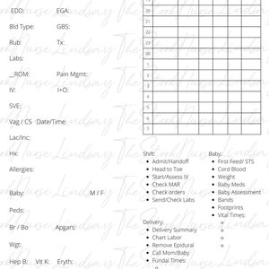 Labor and Delivery 1-patient Report Sheet, Hourly Scheduler, and To-do ...
