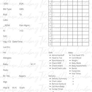 Labor and Delivery 1-patient Report Sheet, Hourly Scheduler, and To-do ...