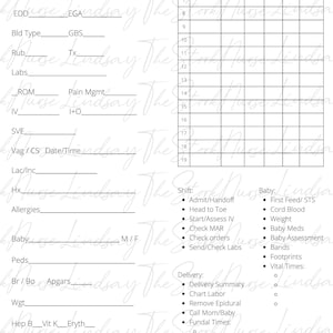 Labor and Delivery 1-patient Report Sheet, Hourly Scheduler, and To-do ...