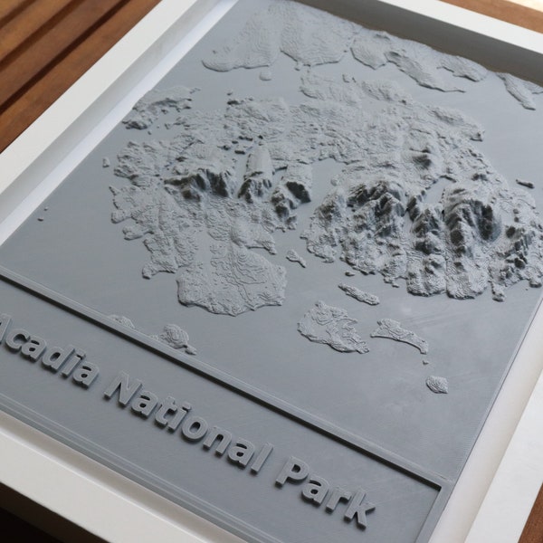 Tampa FL 3D City Print Shadow Box Wall Hanging Art - Etsy