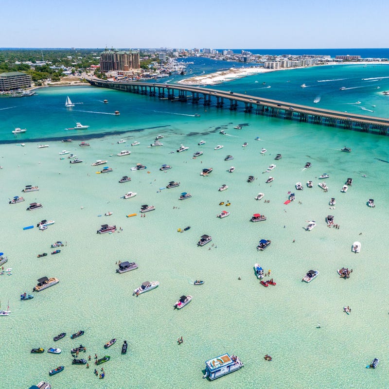 Photography Prints Crab - Etsy