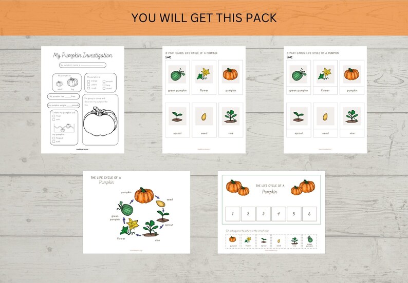 English Pumpkin Life Cycle Printable Mini Unit Study - Etsy