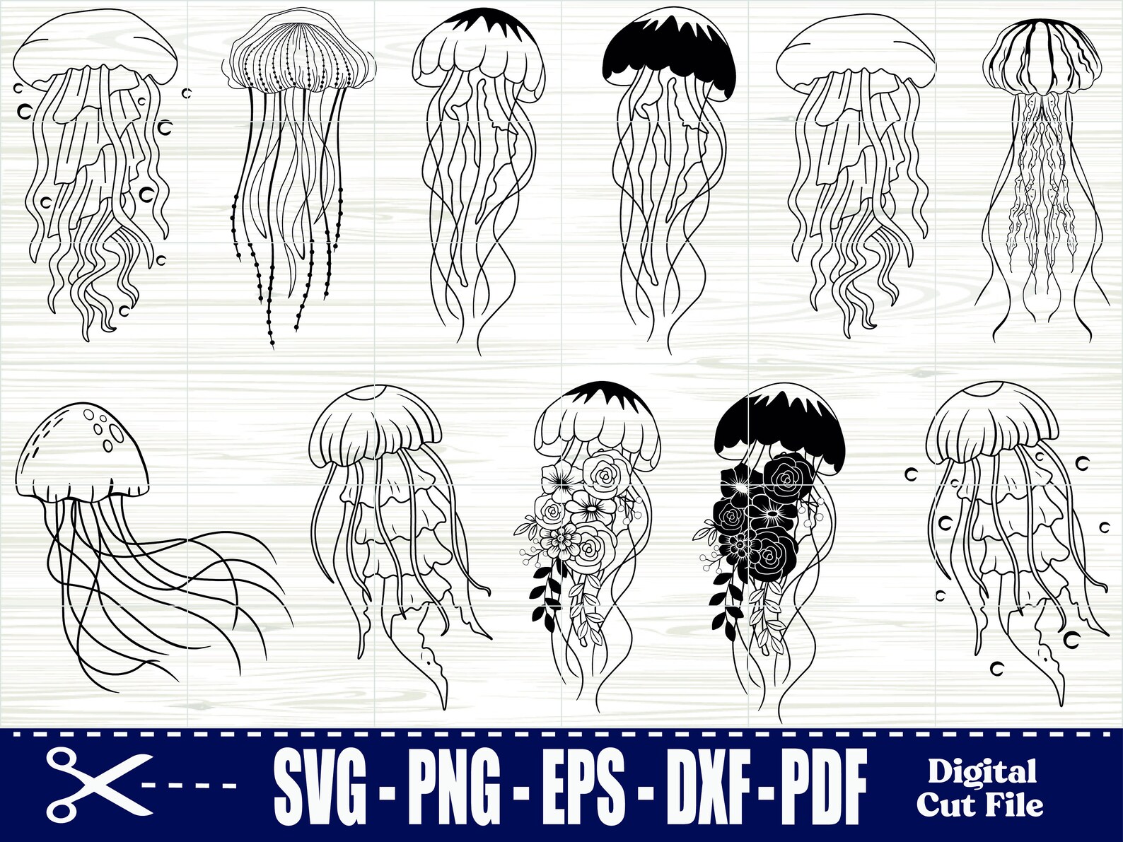 Jellyfishes SVG, Medusa SVG, Sea Life SVG, Floral Jellyfish Svg File ...
