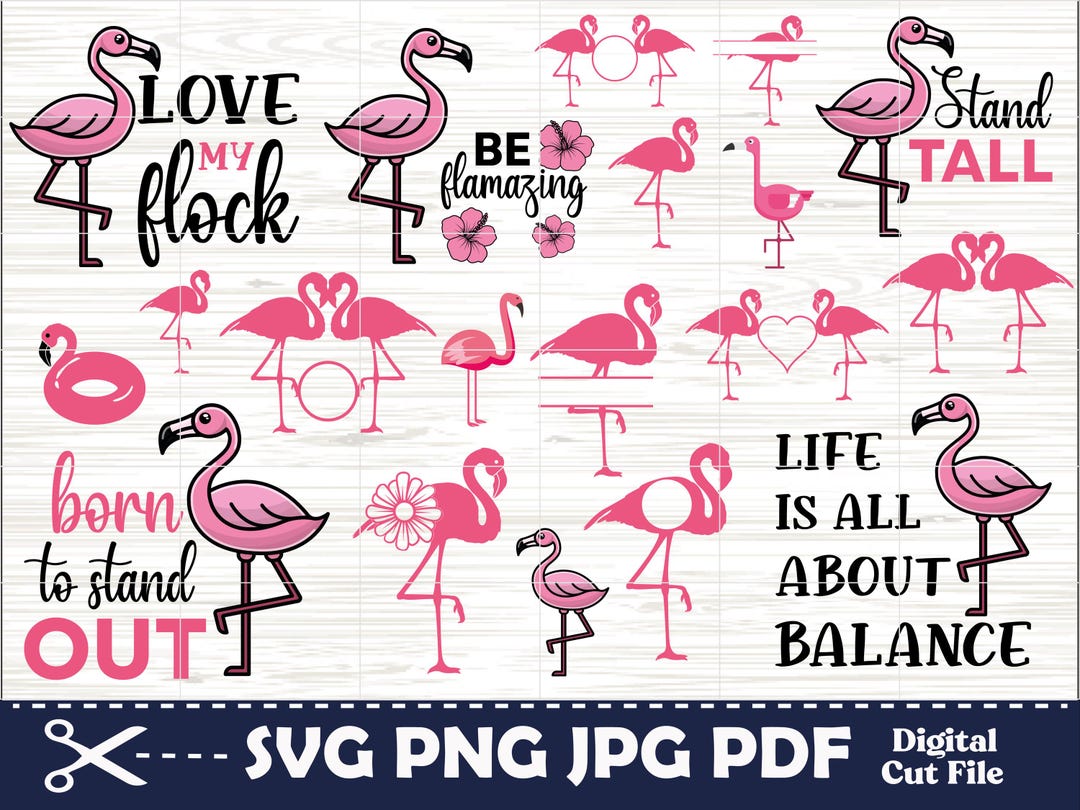 Flamingo SVG Bundle: Bird Cut Files for Cricut, Silhouette (digital ...