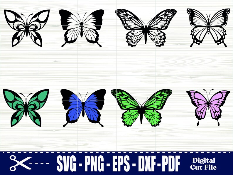 Butterfly Svg, Butterfly Svg Bundle, Layered Butterfly Bundle Cricut ...
