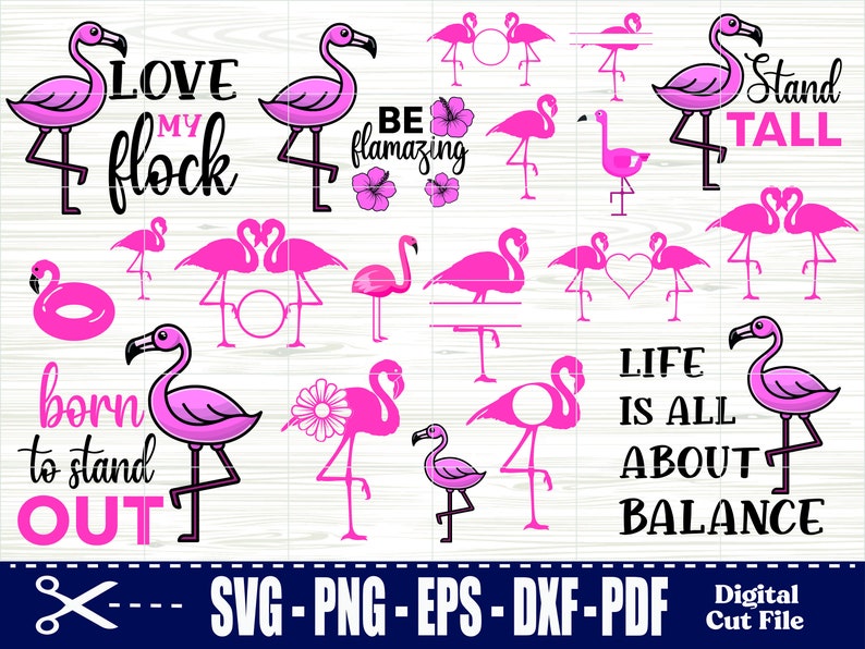 Flamingo Svg File Flamingo Svg Bundle Flamingo Summer Svg - Etsy