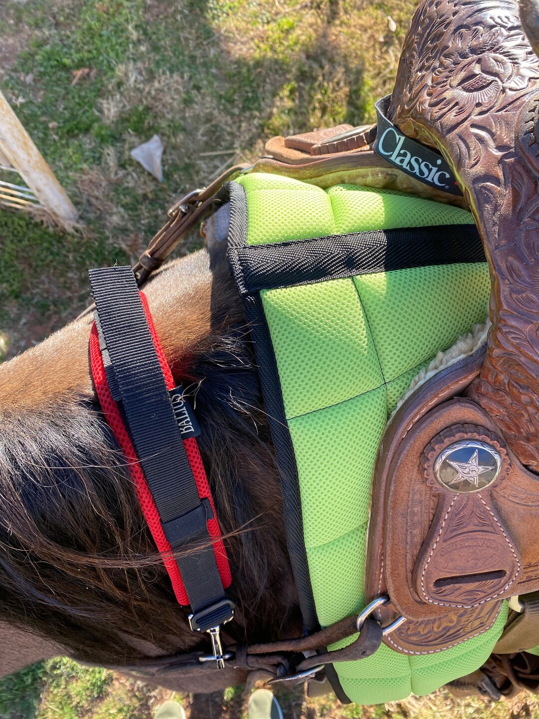 Wither Strap Adjustable Super Soft Comfy Padded Horse Tack Western ...