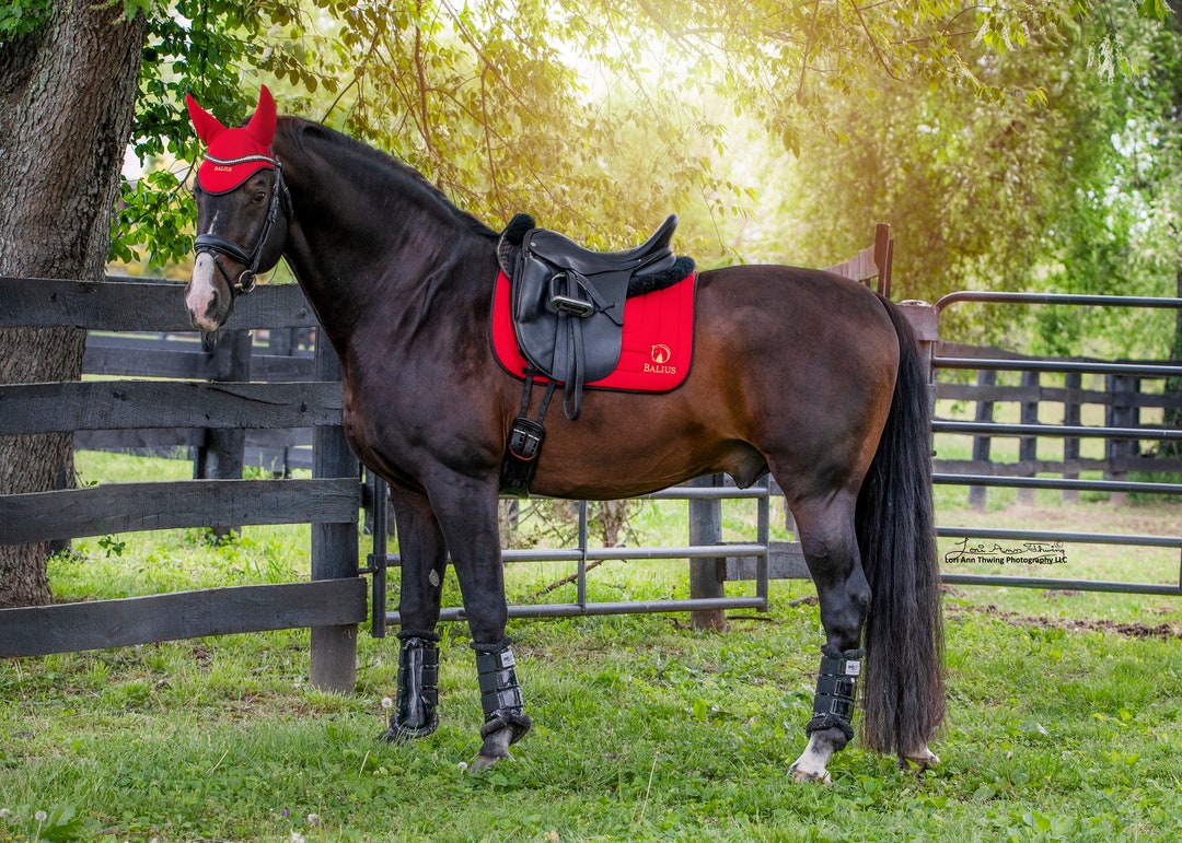 Ear Bonnet Fly Bonnet Veil Ear Net Bonnet Mask - Etsy