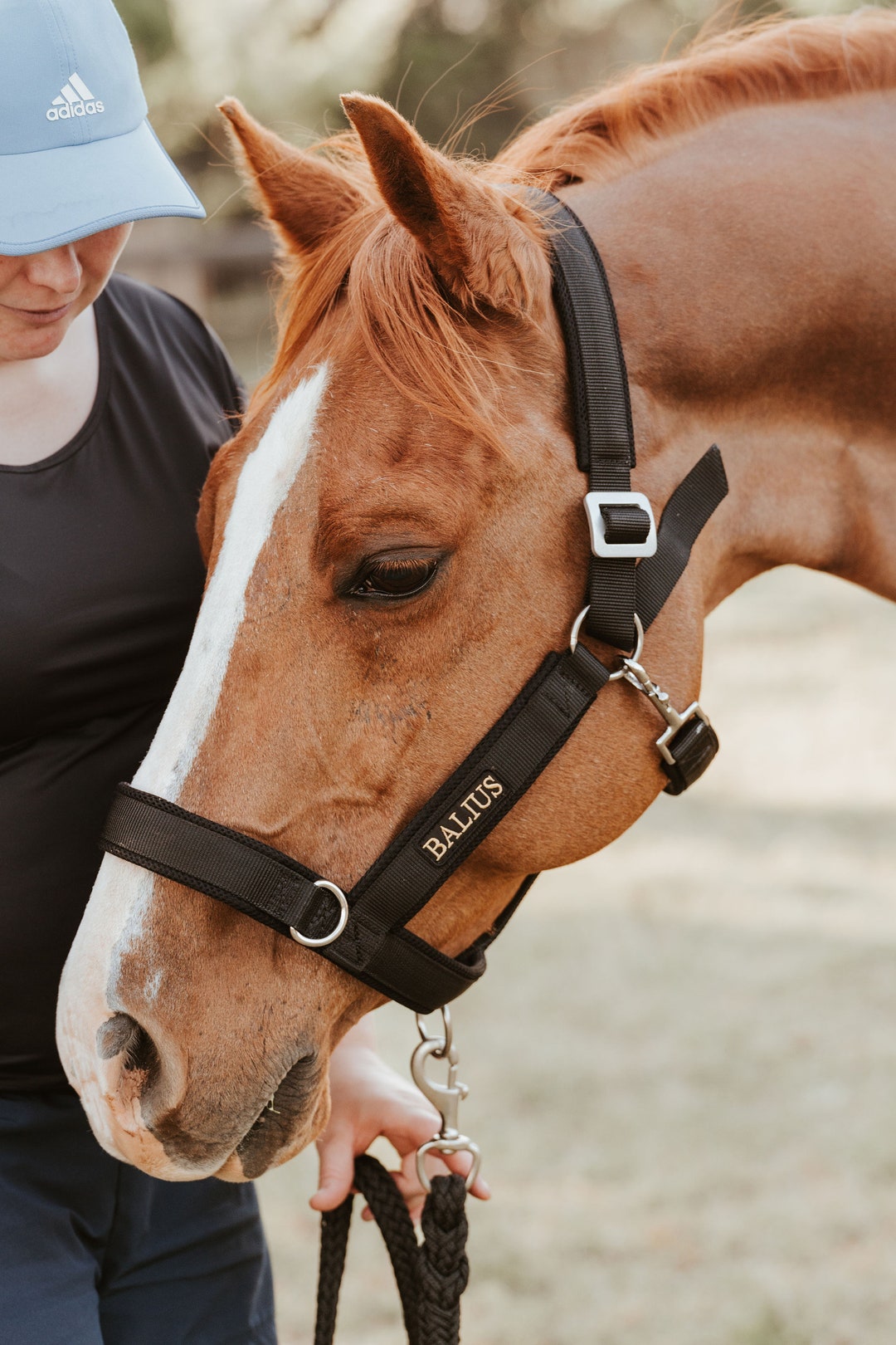 Black Halter Padded Adjustable Super Soft Washable Durable Lightweight ...