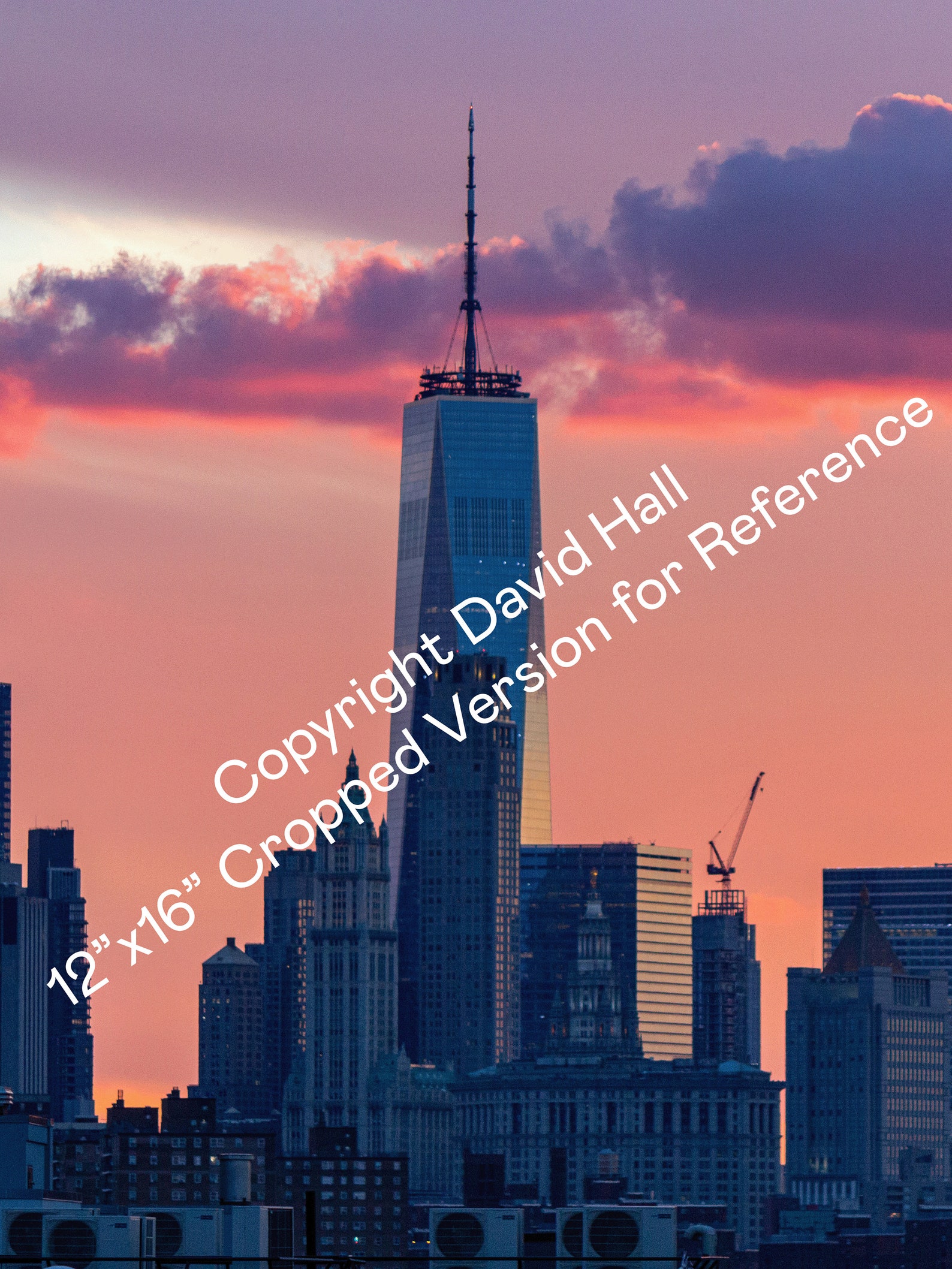 Purple Freedom Tower NYC Prints Architecture Photography - Etsy