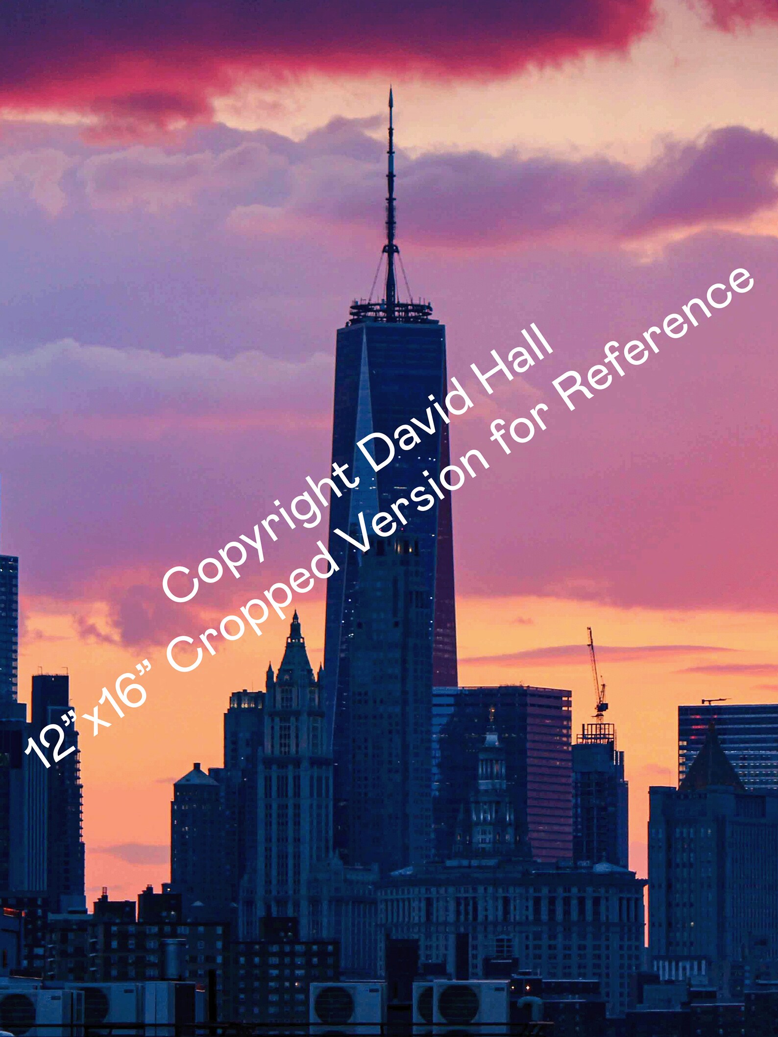 Purple Sunset Freedom Tower, NYC Prints, Architecture Photography, Fine ...