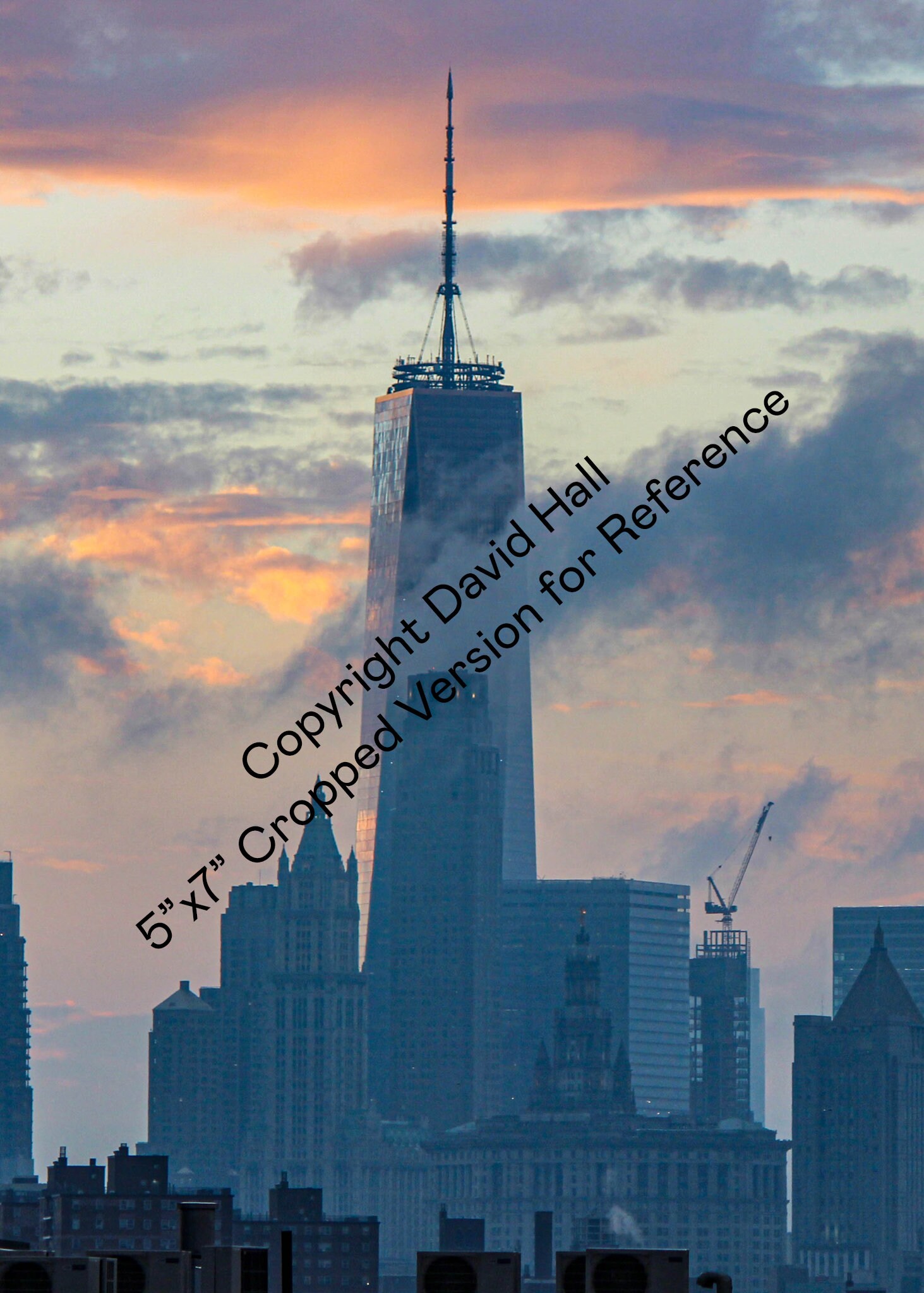 Sunset Freedom Tower, NYC Prints, Architecture Photography, Fine Art ...
