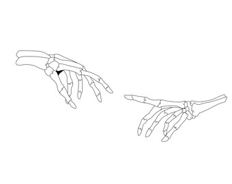 Creation of Adam Skeleton - Etsy